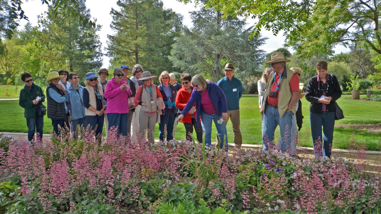 UC Davis Arboretum and Public Garden - About
